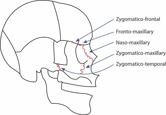 The Development of Real-Time Facemask
