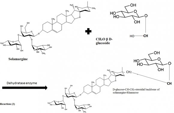 Effect of Monoclonal Antibodies Conjugation with Gallium-Containing ...