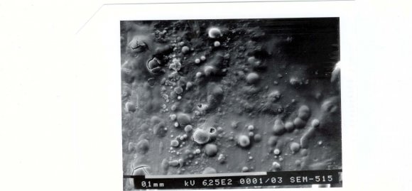 Mediated Liposome for Gene Delivery to Mice Brain Part I. Design and ...