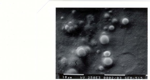 Mediated Liposome for Gene Delivery to Mice Brain Part I. Design and ...