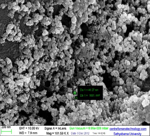 Anti Biofilm Effect of Biogenic Silver Nanoparticles Coated Medical ...