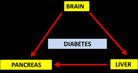 Diabetes and Organ Dysfunction in the Developing and Developed World