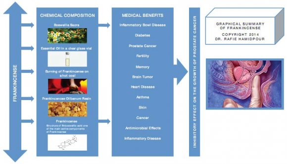 Drug Related Problems that Occurred in Patient Sepsis Macrovascular ...
